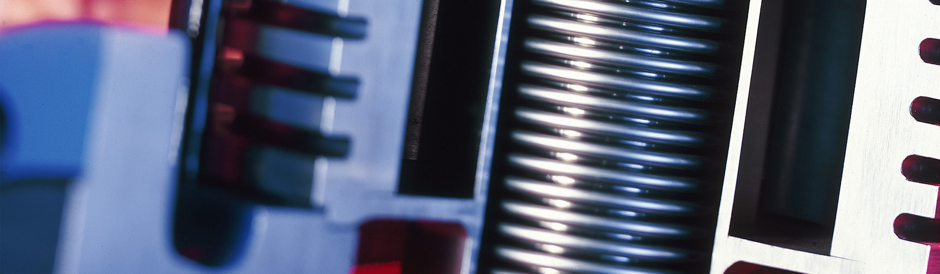 Options for safety valves |LESER